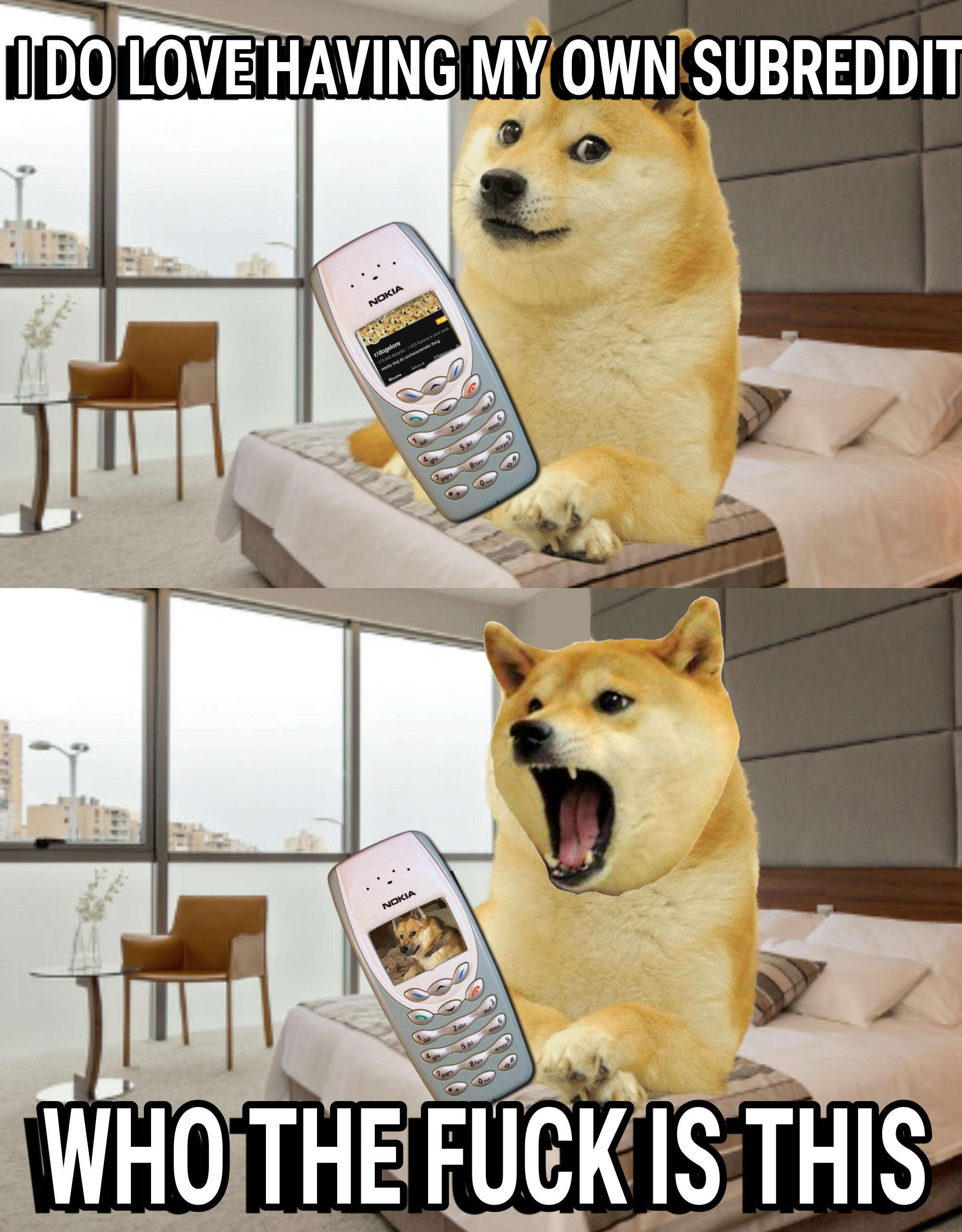 Please could you stop spamming | Doge 2 / Caesar | Know Your Meme