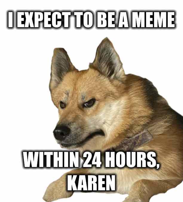 le unreasonable demands have arrived | Doge 2 / Caesar | Know Your Meme