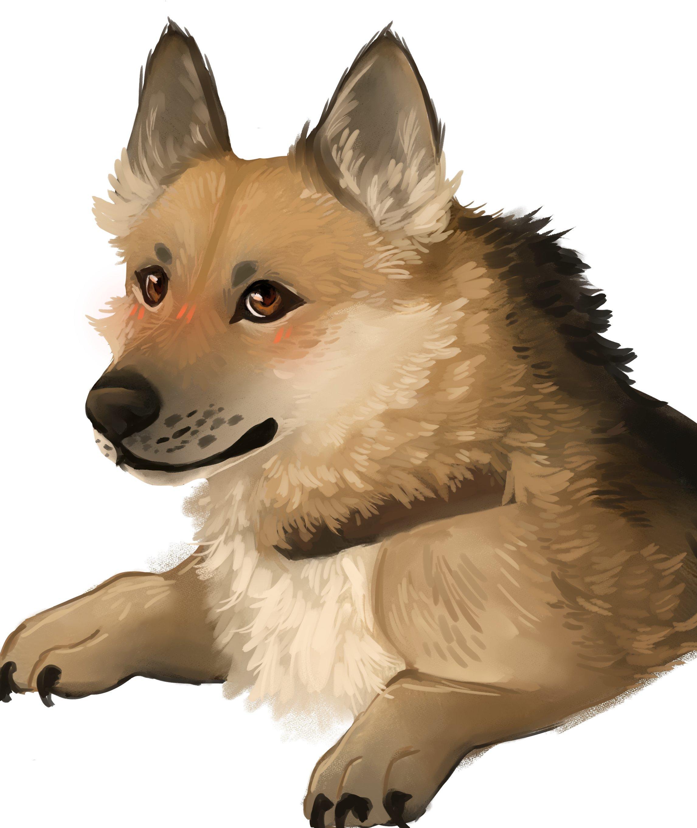 Doge 2 (Caesar) Fanart by @clocksoott | Doge 2 / Caesar | Know Your Meme