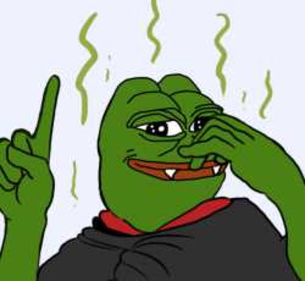 TWO STINKY PEPES AHAHAH | The Pest / Pestposting | Know Your Meme