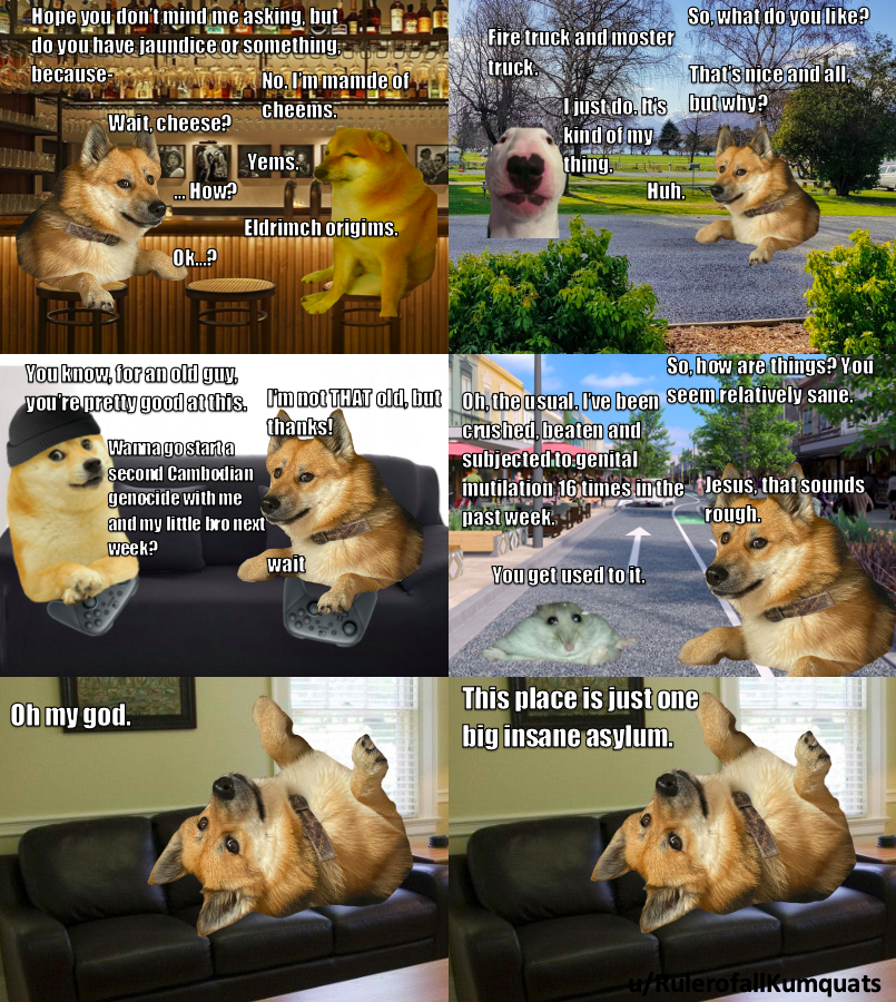 Caesar gets acquainted with Dogelore | Doge 2 / Caesar | Know Your Meme
