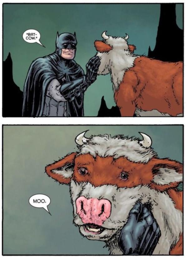 cow | Batman | Know Your Meme