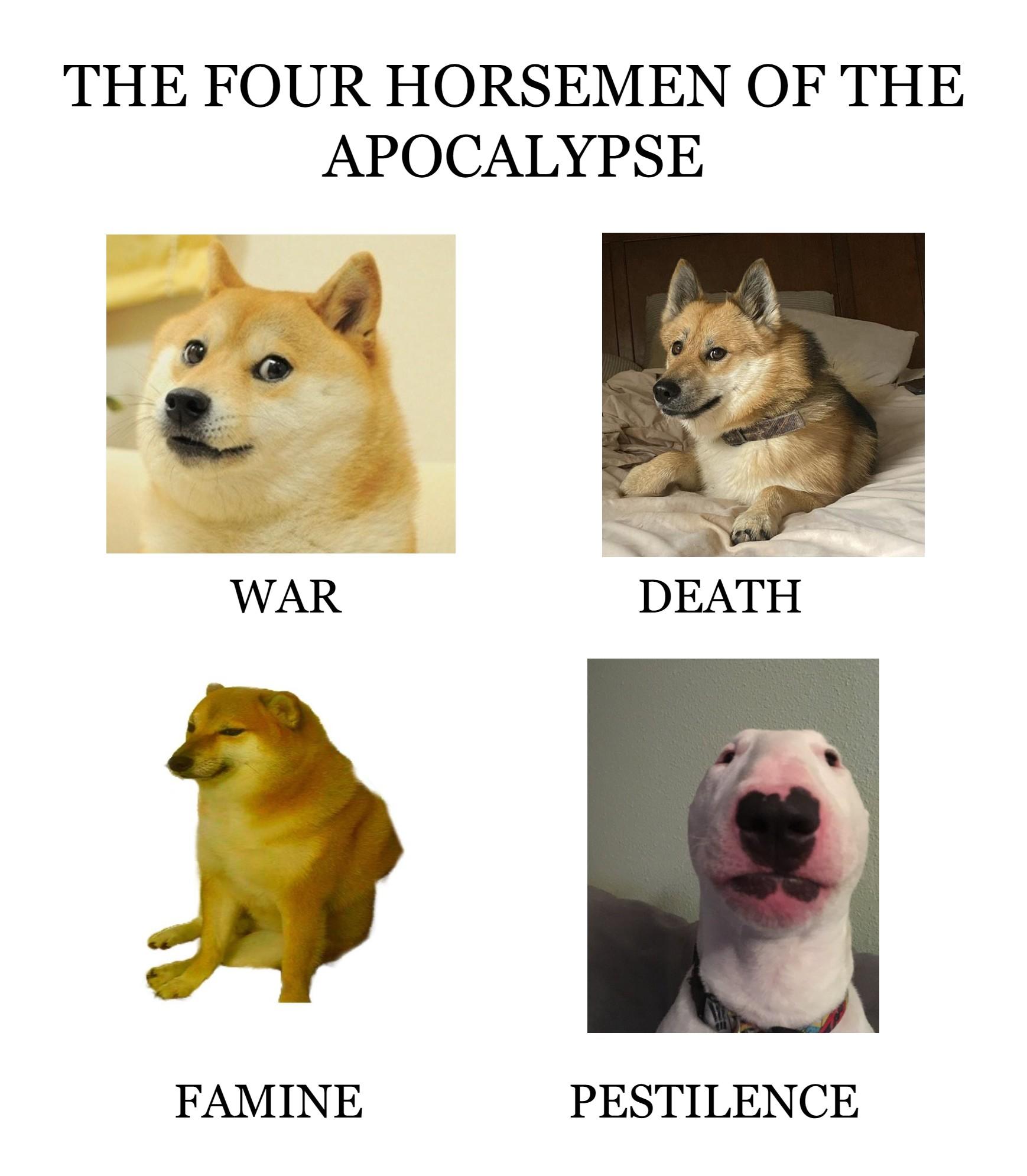 Four Dogs of the Apocalypse | Doge 2 / Caesar | Know Your Meme
