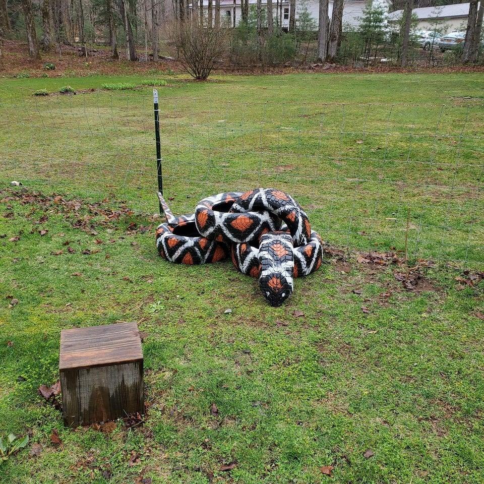 not a snake | Know Your Meme