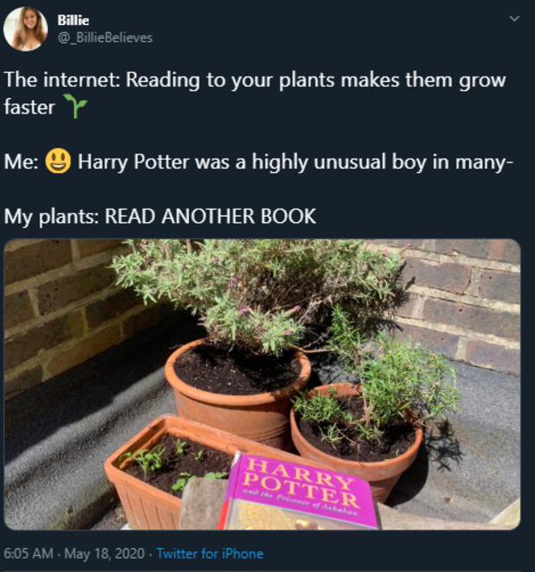 self roast | Read Another Book | Know Your Meme