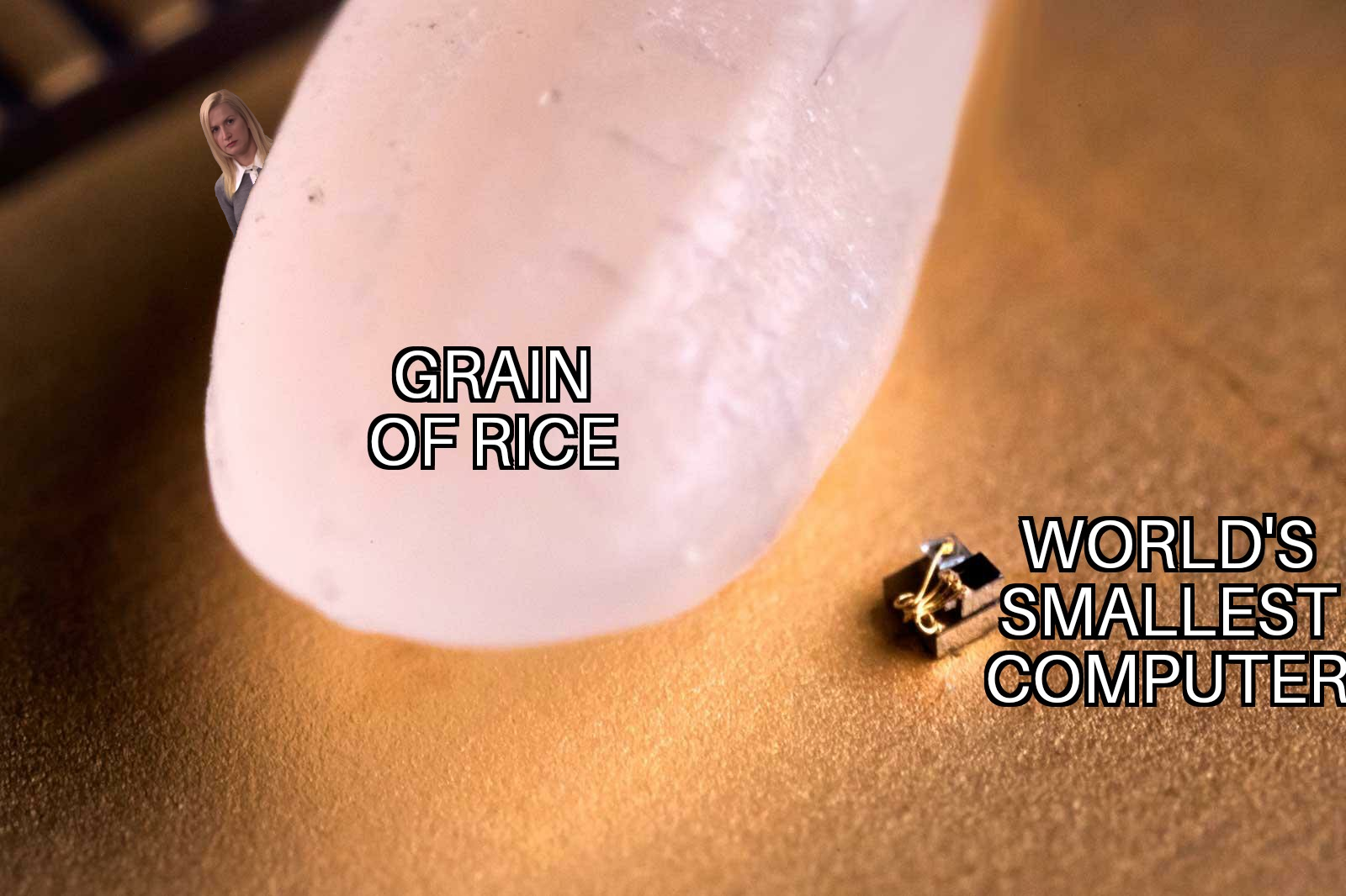 Angela | A Grain Of Rice / The World's Smallest Computer | Know Your Meme