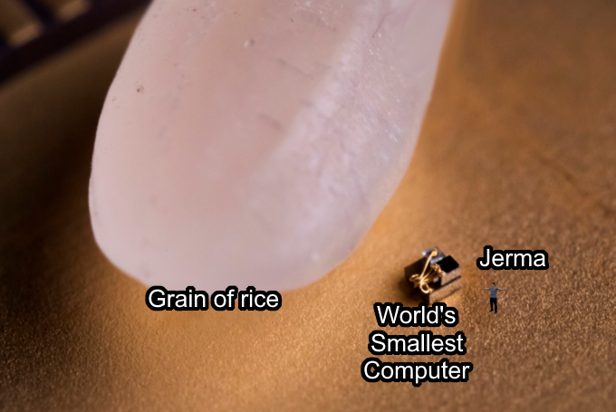 he's not tiny he's compact | A Grain Of Rice / The World's Smallest ...