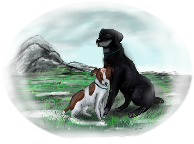 The Plague Dogs | Western Animation | Know Your Meme