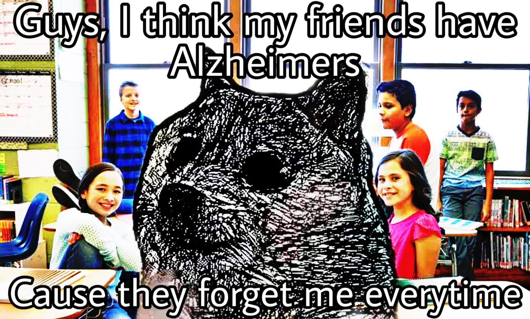 Wait, you guys have friends? | Ironic Doge Memes | Know Your Meme