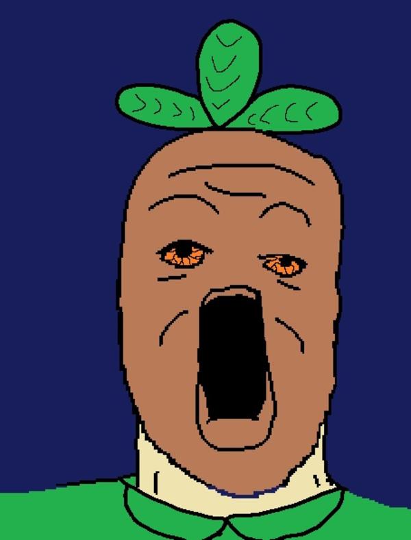 vegetable soyjak | Soy Boy Face / Soyjak | Know Your Meme