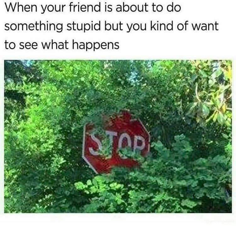 stop sign | Know Your Meme
