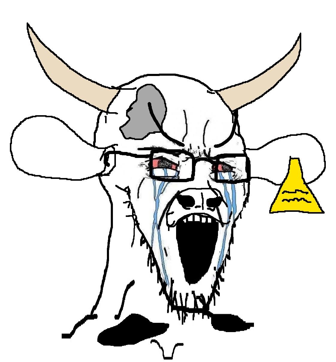 the soyboy goes moo | Soy Boy Face / Soyjak | Know Your Meme