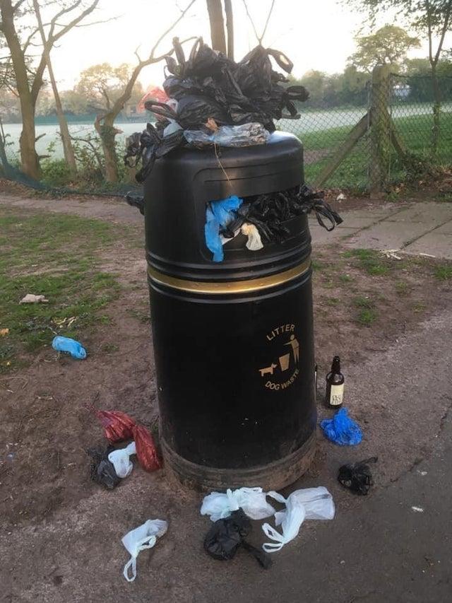 litter problems | Know Your Meme