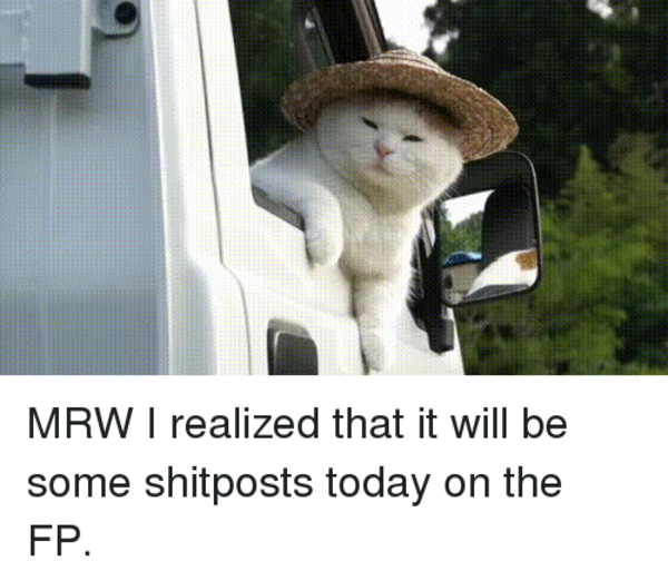 mrw | Straw Hat Cat | Know Your Meme