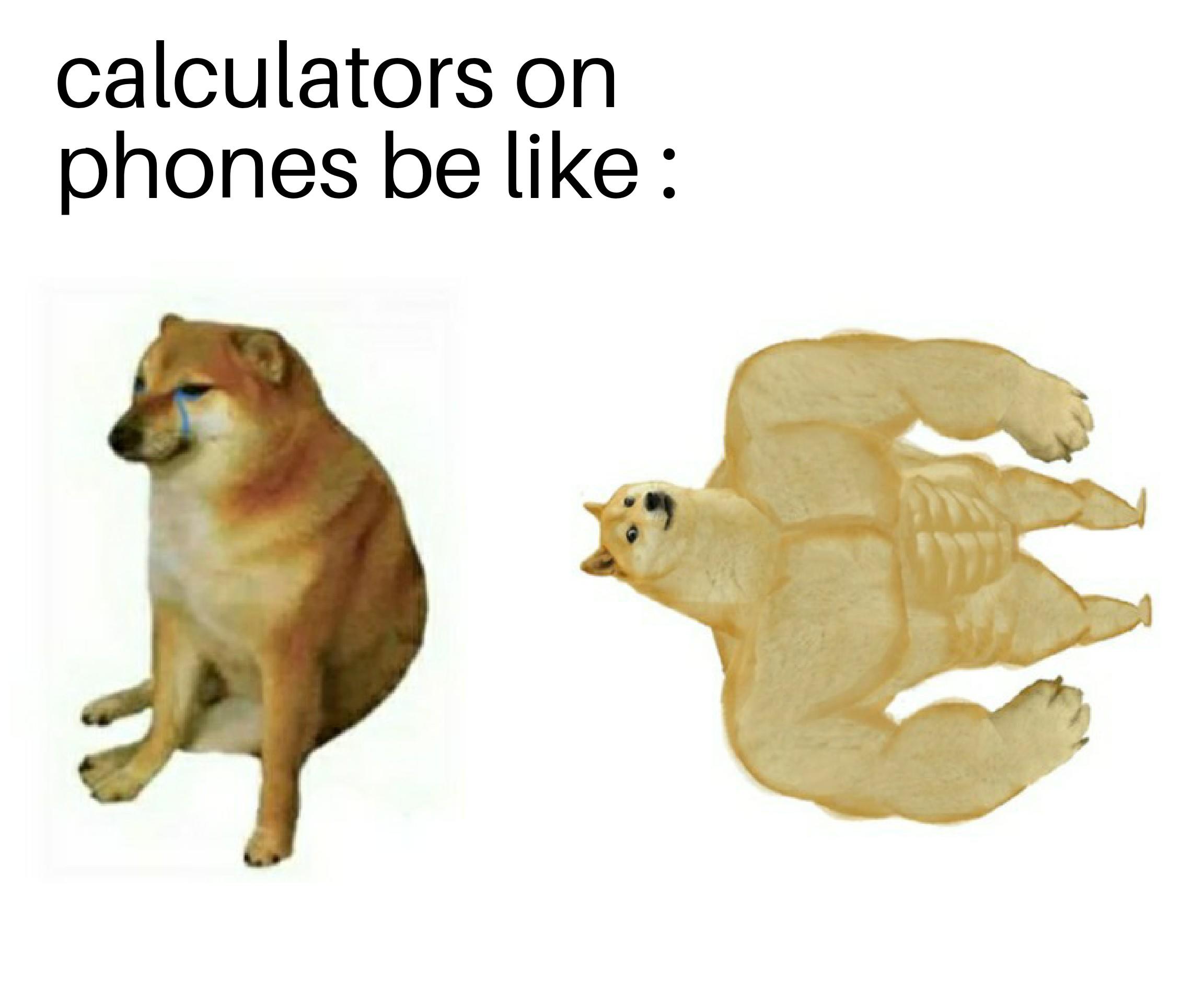 It do be like that | Swole Doge vs. Cheems | Know Your Meme