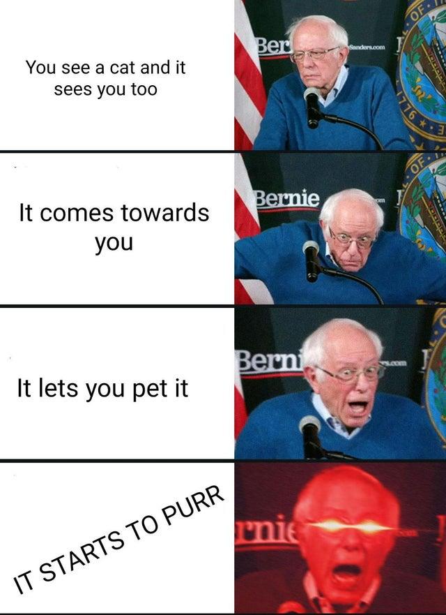 petting a cat | Wholesome Memes | Know Your Meme