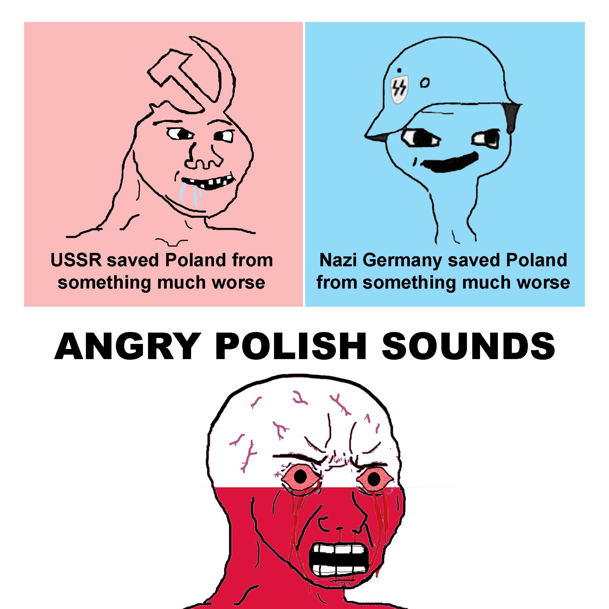 The Poles have suffered | Political Compass | Know Your Meme