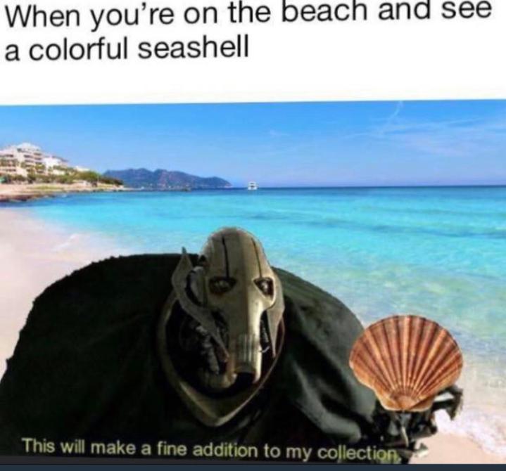 seashells | Wholesome Memes | Know Your Meme