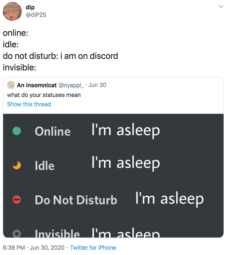 Online Idle Do Not Disturb I Am On Discord Invisible What Do Your 