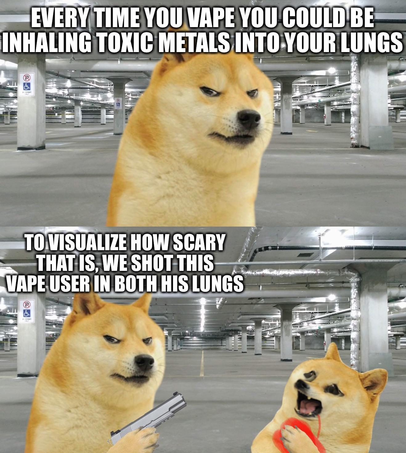 Le YouTube ad has arrived | Dogelore | Know Your Meme