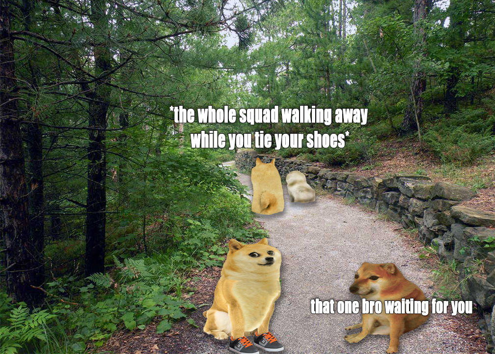 le bro has arrived | Dogelore | Know Your Meme