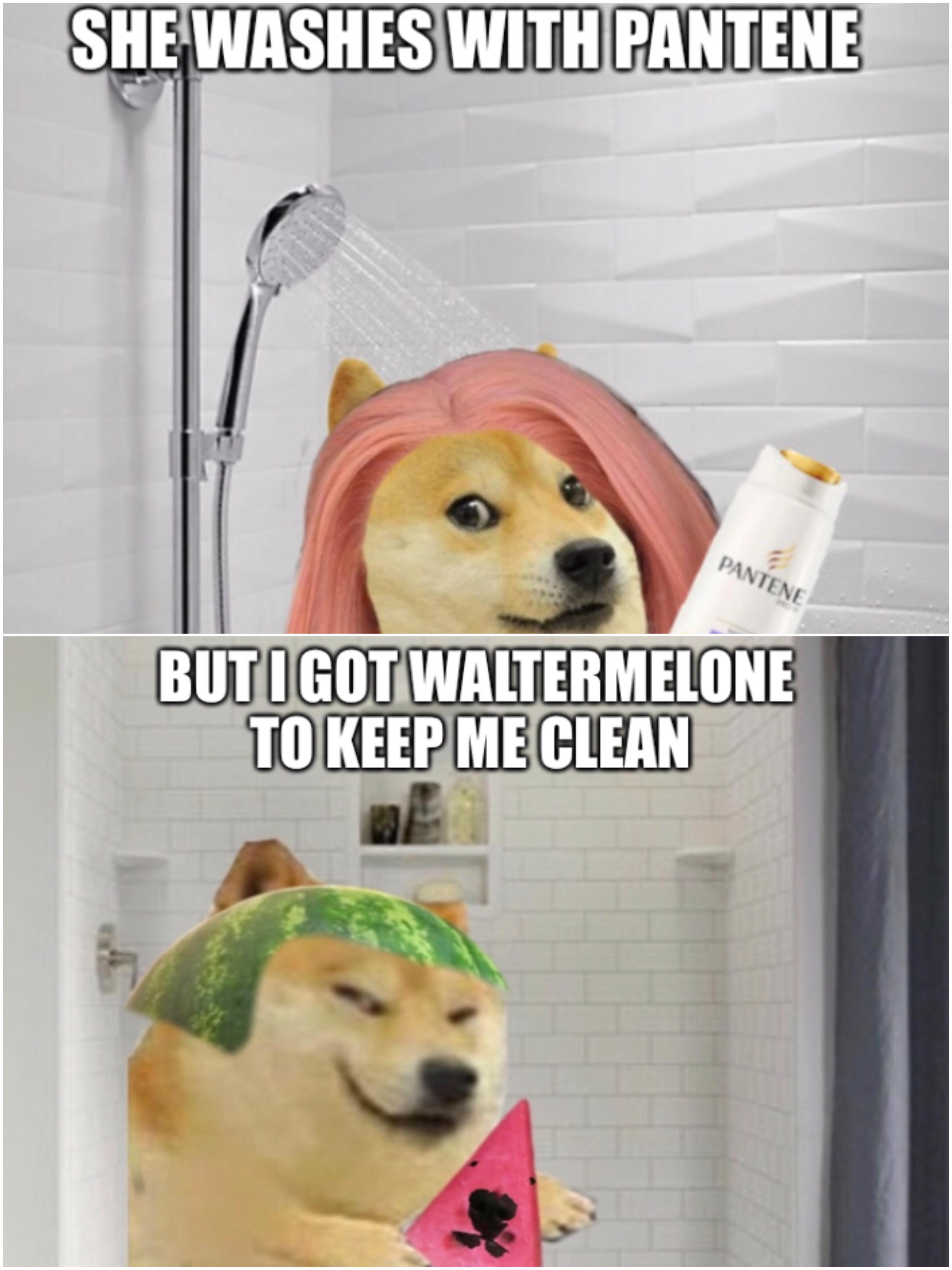 Le waltermelone has arrived | Dogelore | Know Your Meme