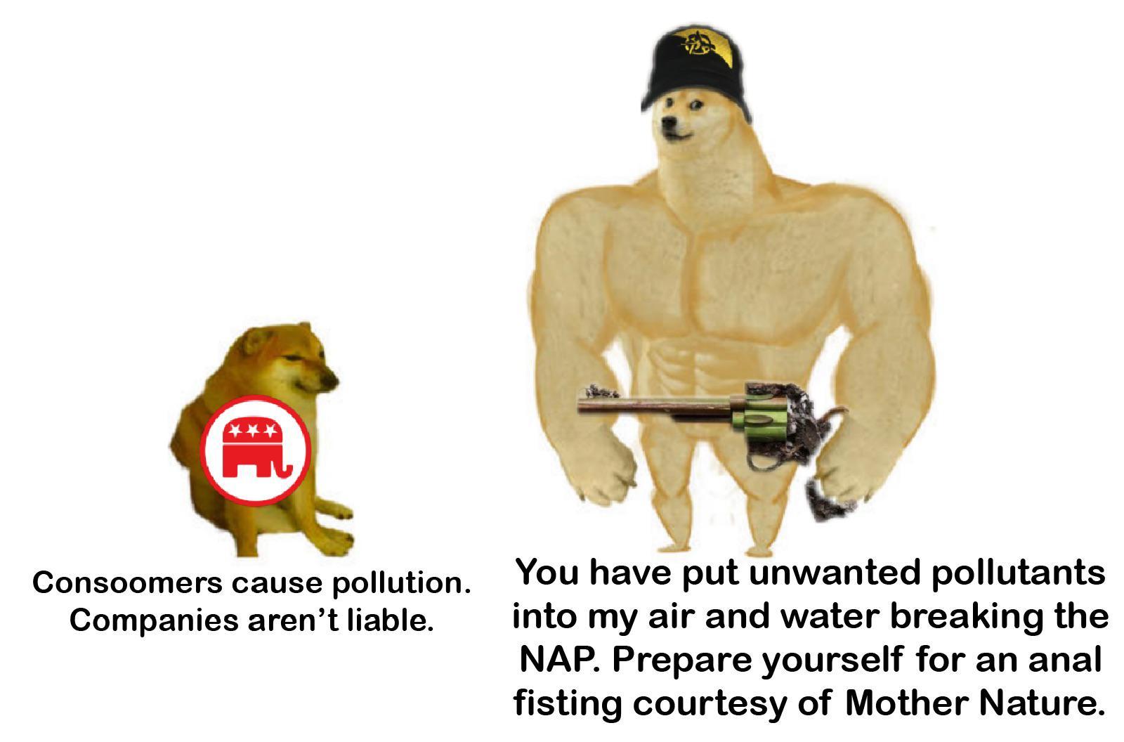 The virgin NeoCon vs the Chad Eco AnCap | Swole Doge vs. Cheems | Know ...