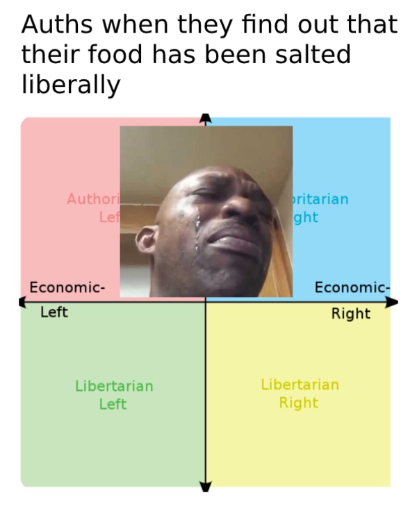 Some dont like salty food | Political Compass | Know Your Meme