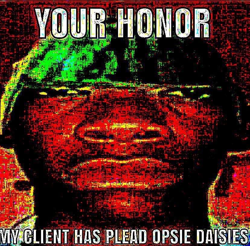 Case closed | Your Honor | Know Your Meme