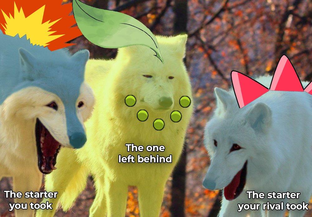 Choosing starters | Laughing Wolves | Know Your Meme