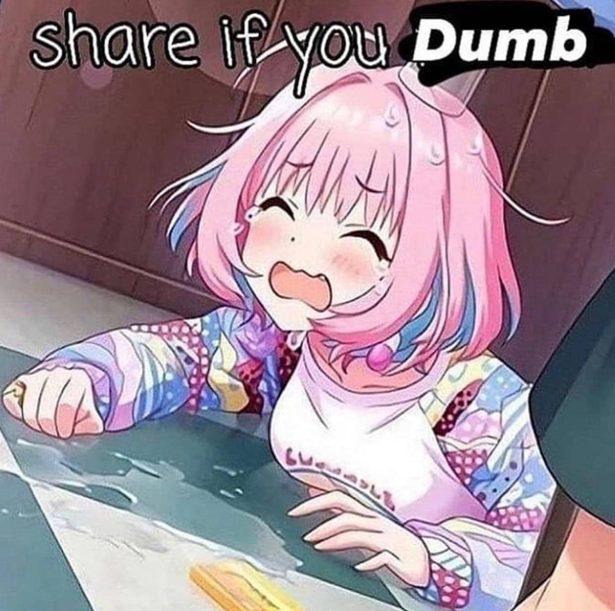 Share if you DUMB | Repost If X | Know Your Meme