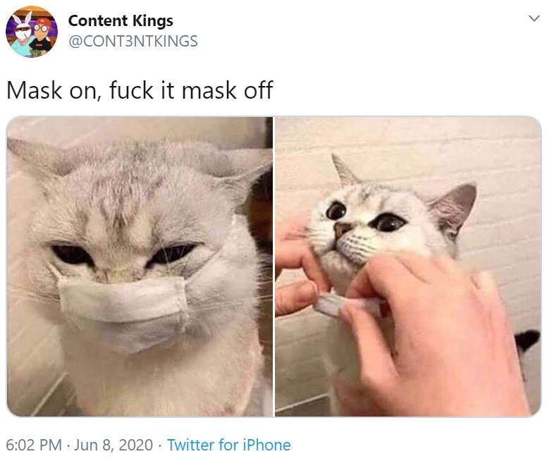 Mask Off Cat | Mask Off | Know Your Meme