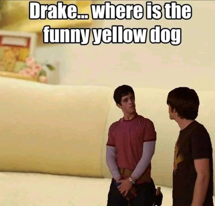 Drake, Where's the funny yellow dog? | Ironic Doge Memes | Know Your Meme
