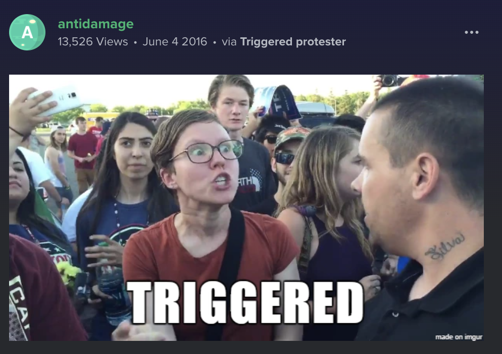 Triggered protester | Triggered Feminist | Know Your Meme