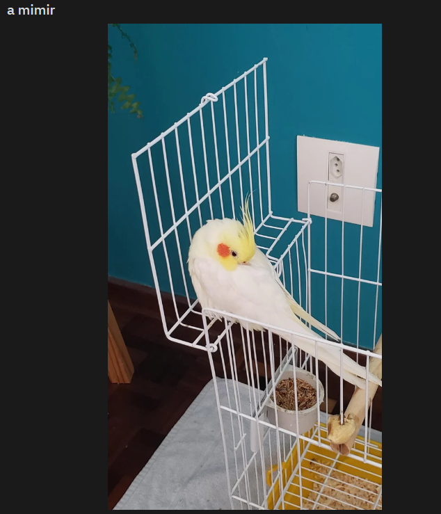 a mimir | A Mimir / Two mimir | Know Your Meme