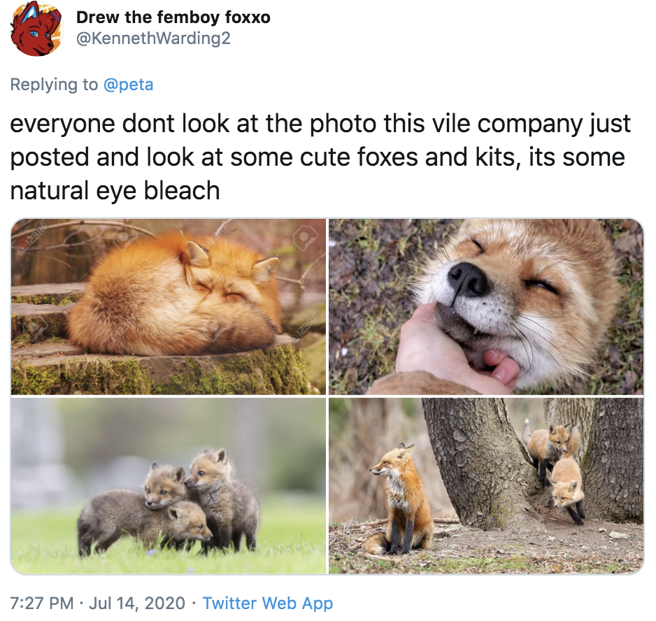 Eye Bleach | PETA's "Not Cake" Tweet | Know Your Meme