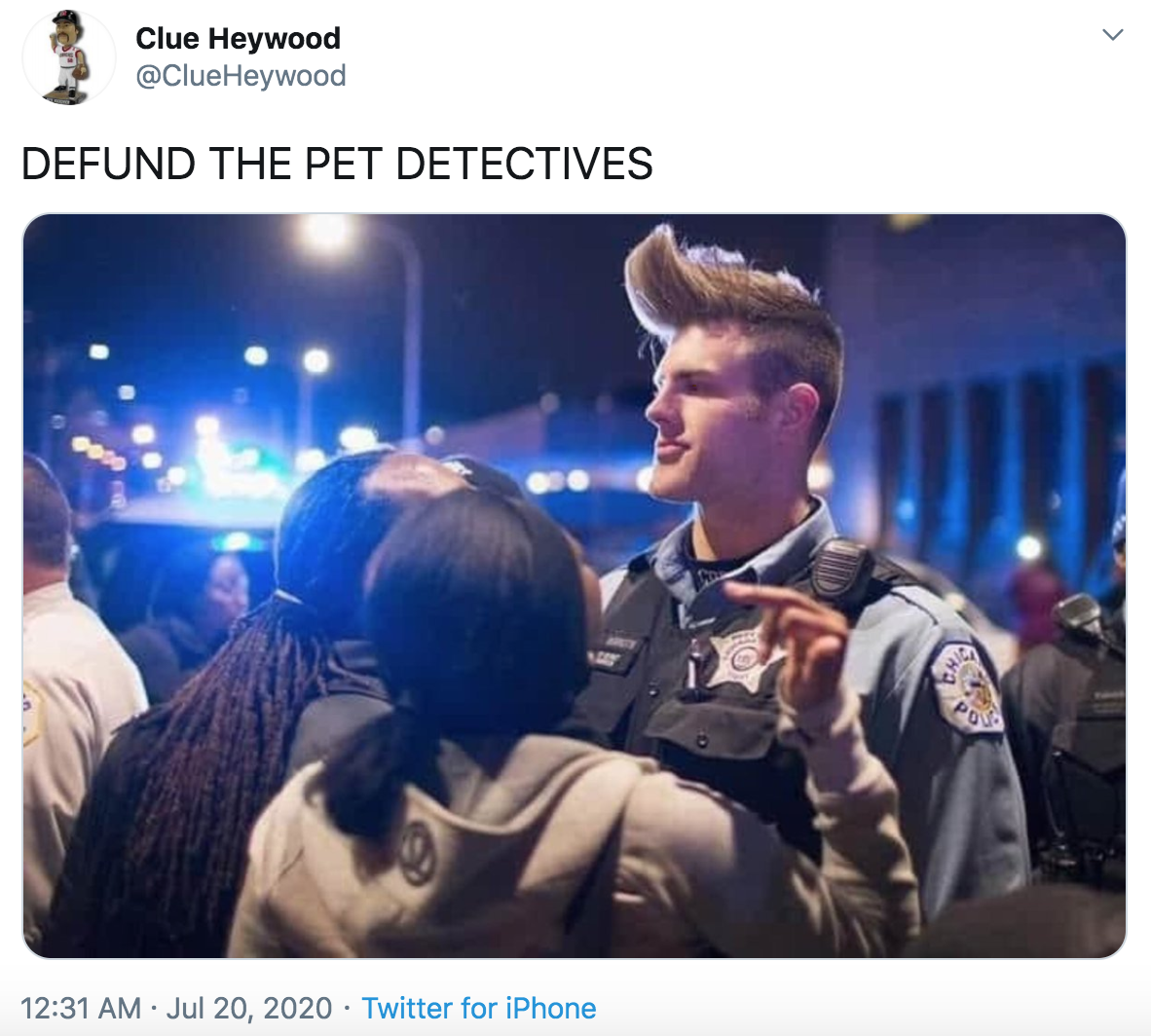 defund pet detectives | Chad Cop | Know Your Meme