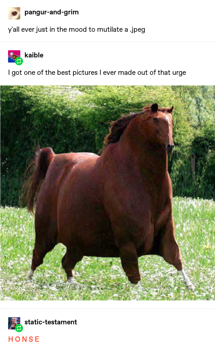 Tumblr Post | Honse | Know Your Meme