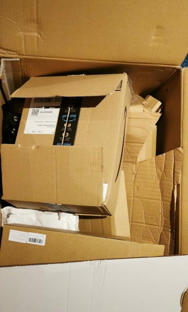 hiding in amazon boxes | Cats | Know Your Meme