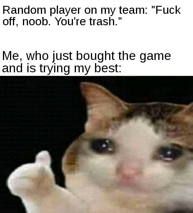 Trying My Best | Thumbs Up Crying Cat | Know Your Meme