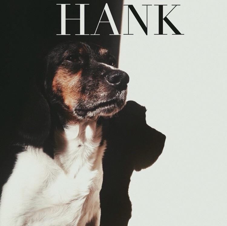 HANK | Dogs | Know Your Meme