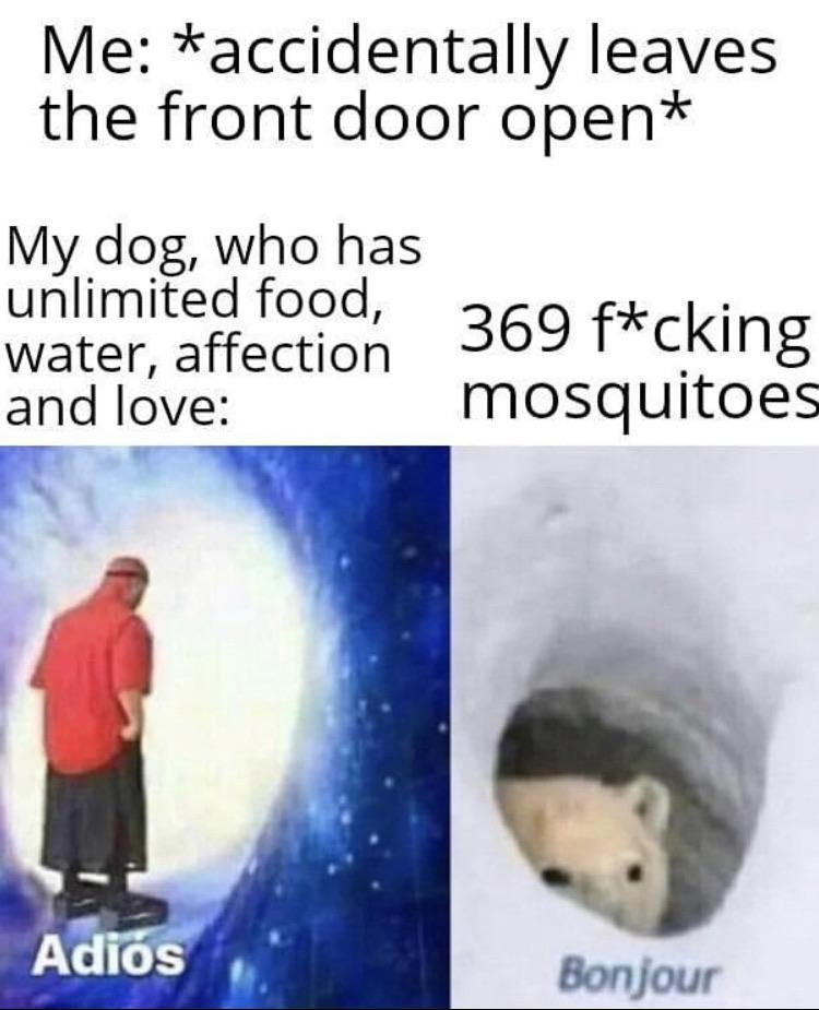 Life Is Hard | Adios Wormhole | Know Your Meme