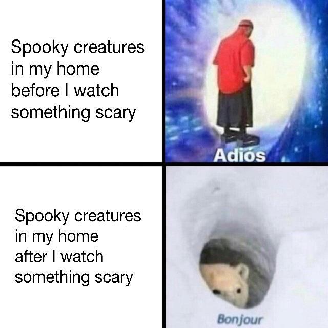 Not Safe | Adios Wormhole | Know Your Meme