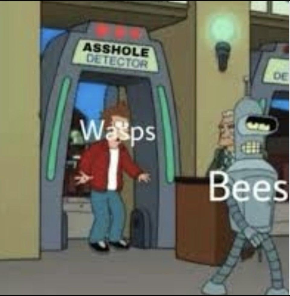 bees v. wasps | Futurama | Know Your Meme