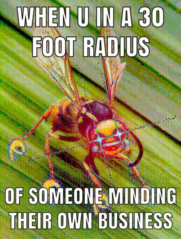 30 foot radius | Know Your Meme