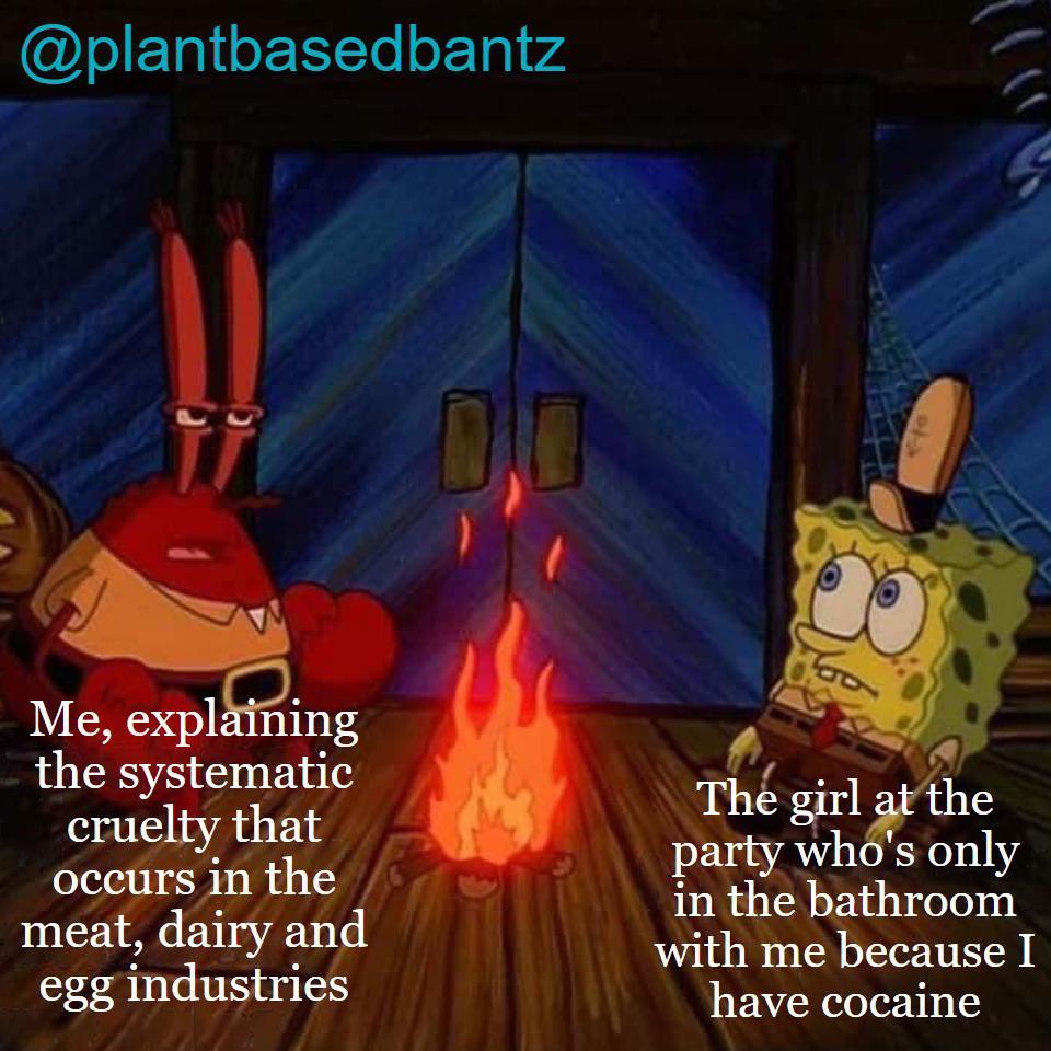 is a sponge vegan? | Mr. Krabs Telling Story to SpongeBob by a Campfire ...