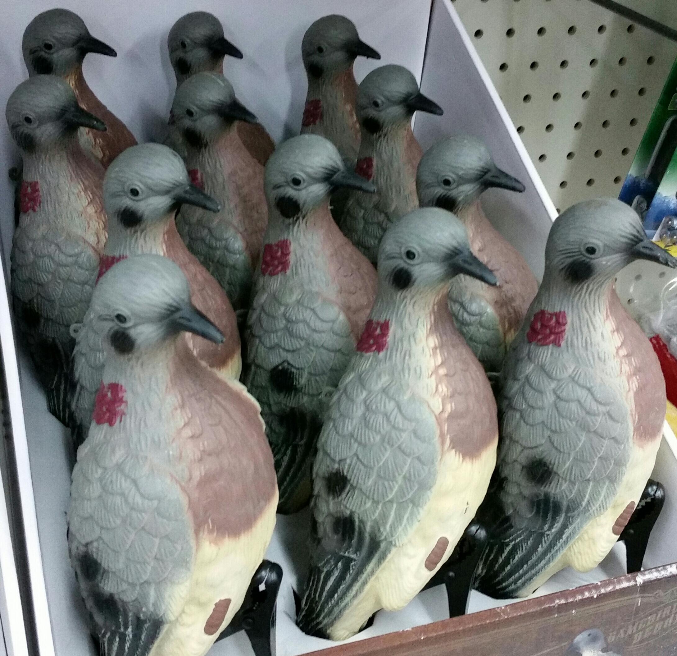 Got the whole flock laughing | Reaction Images | Know Your Meme