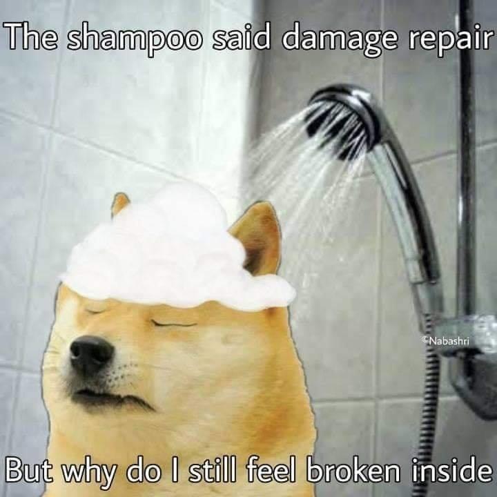 The Shampoo Said Damage Repair | Ironic Doge Memes | Know Your Meme