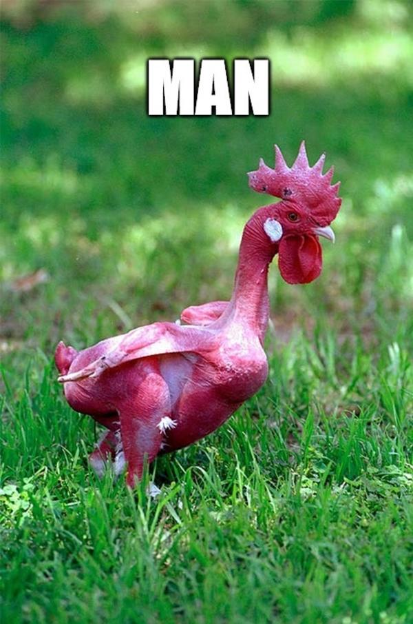 Man | Man | Know Your Meme