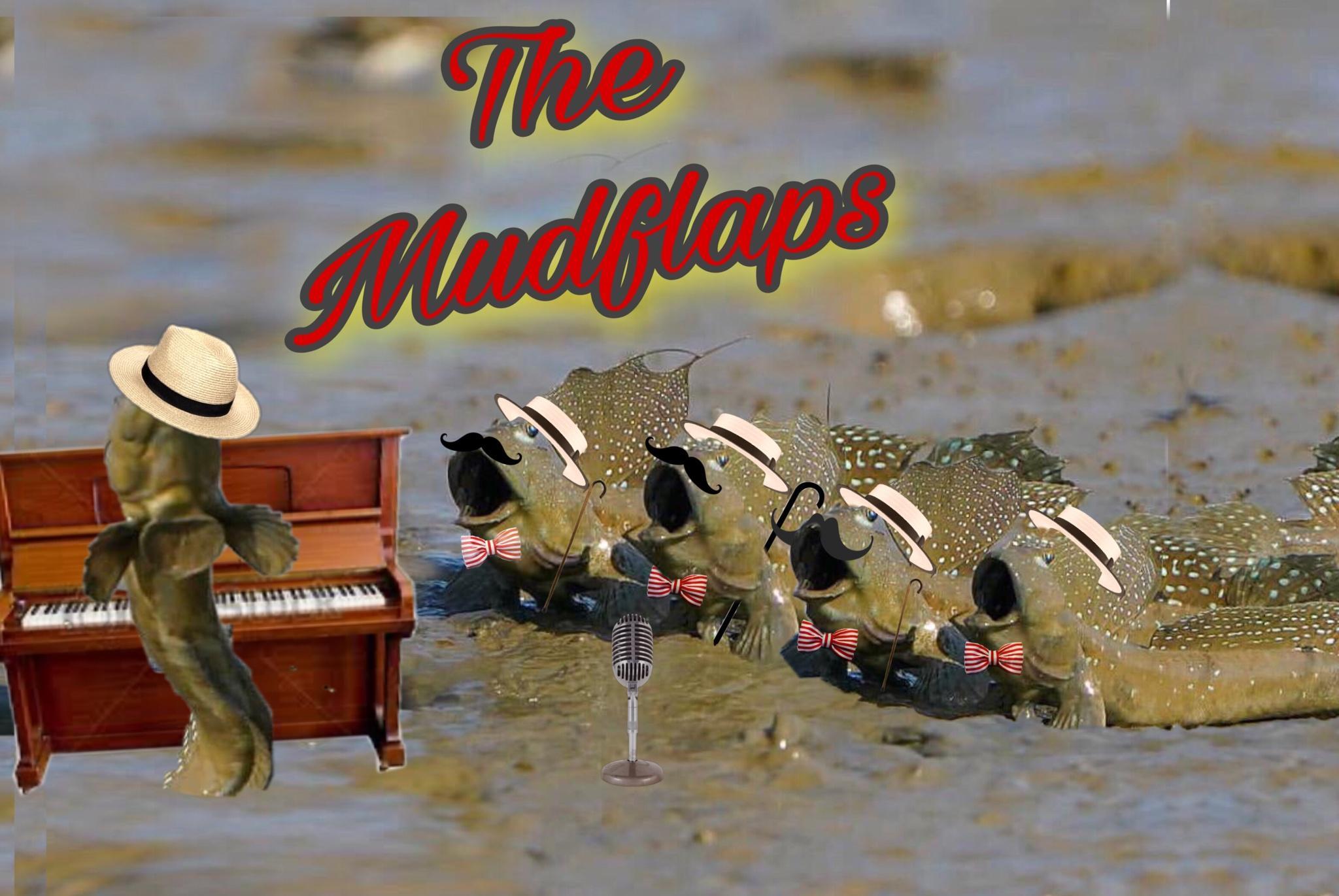 The Mudflaps | Impressed Mudskippers | Know Your Meme